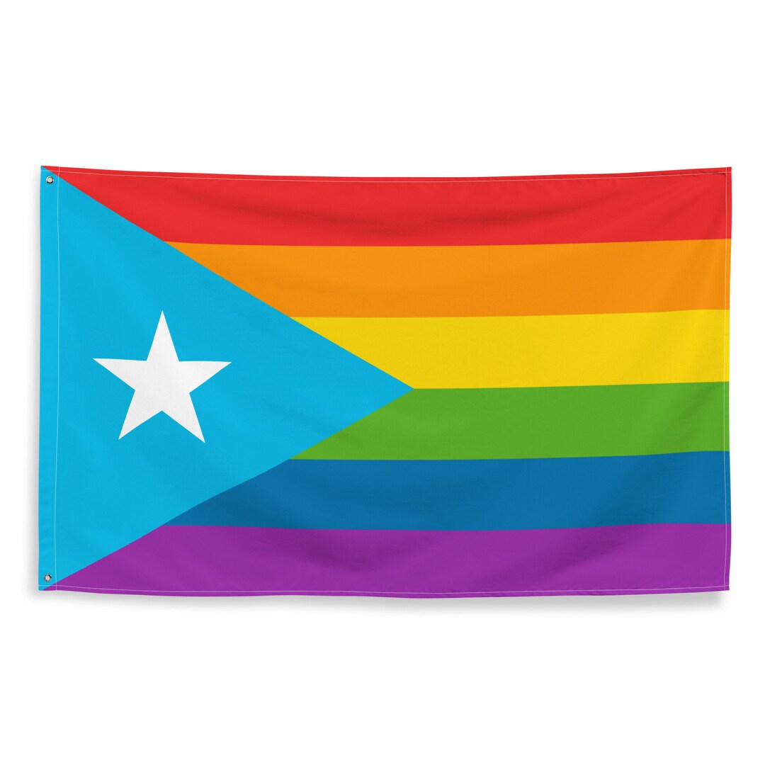 Gay Pride Puerto Rico Flag 3x5 Rainbow LGBT Boricua Puerto Rican Banner ...