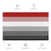 Rabies Pride Flag 3x5 - Etsy