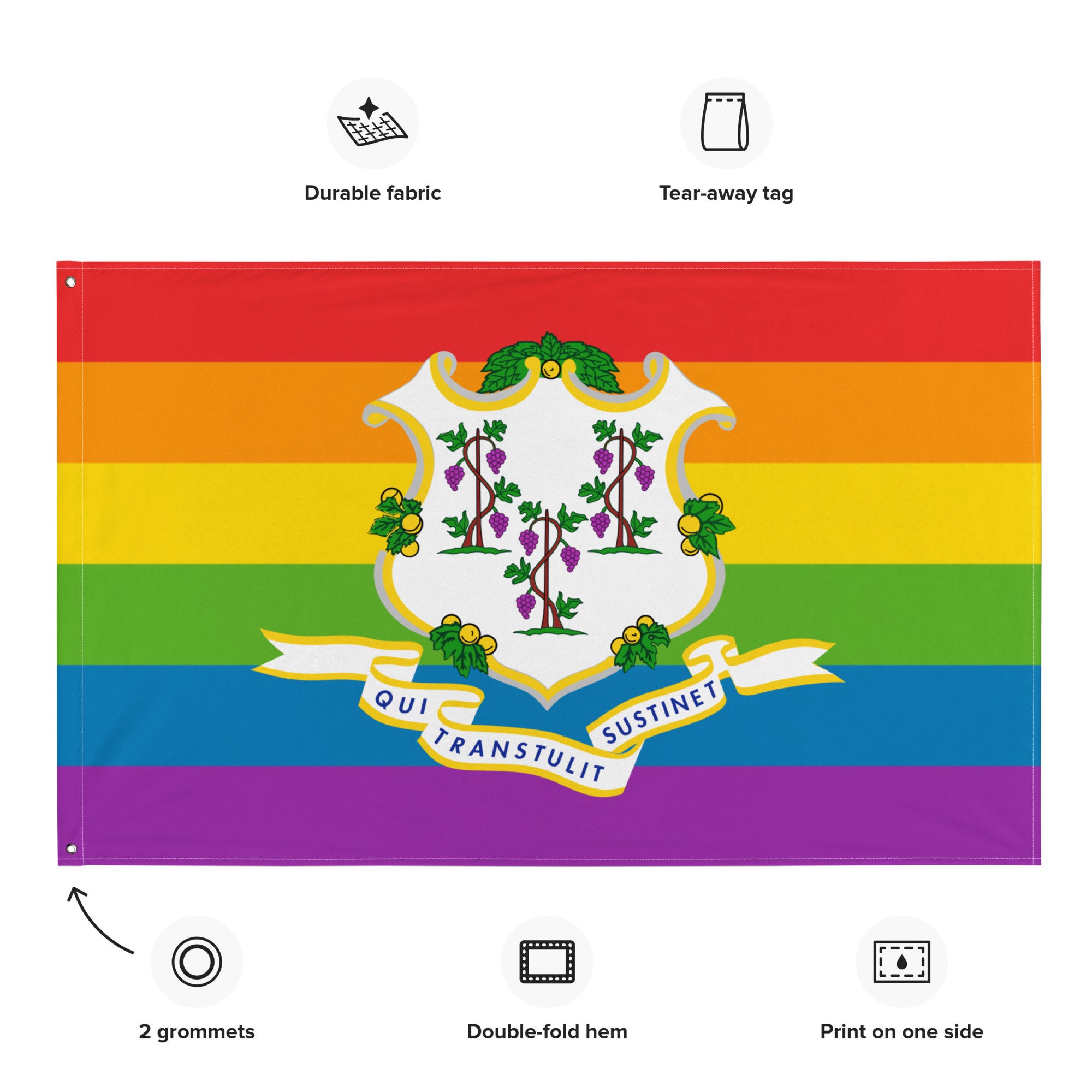 Connecticut Flag