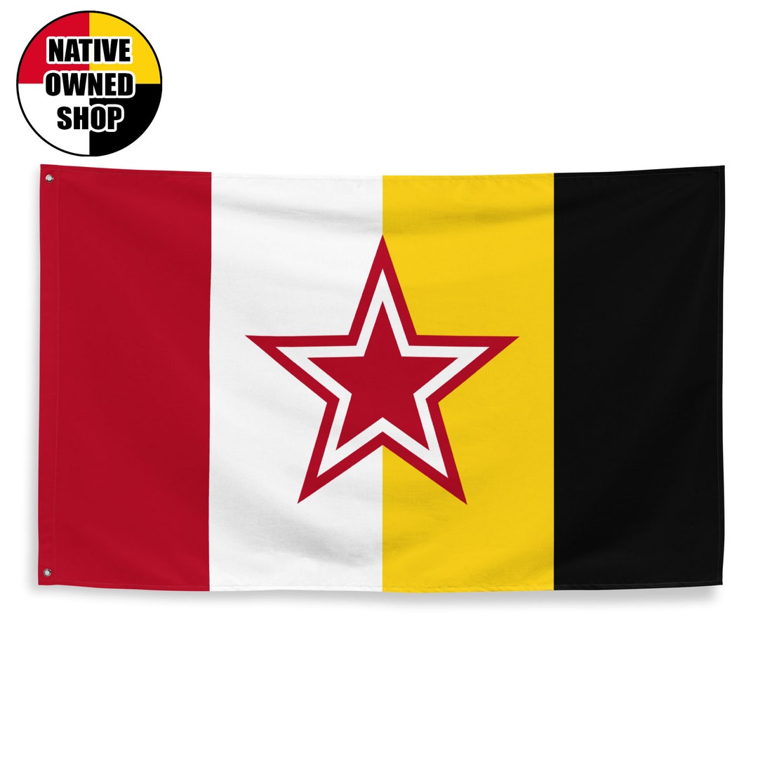 Native American Socialist Four Directions Medicine Wheel Native ...