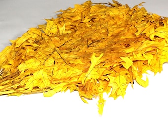 Preserved Yellow Fall Leaves - Etsy