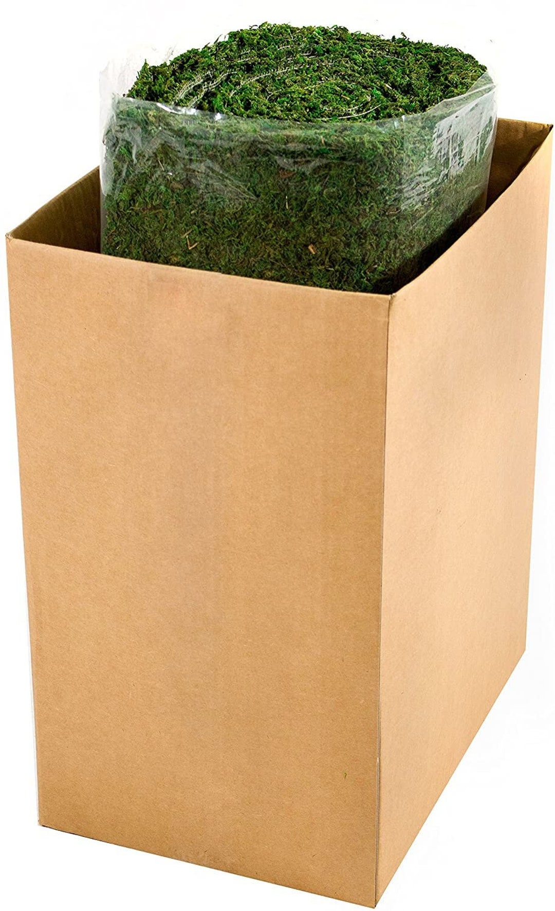 Moss Runner 18'' Wide X 24ft Long - Etsy