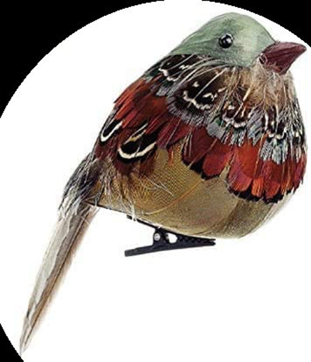 4'' Fat Robin Clip-on Bird - Etsy