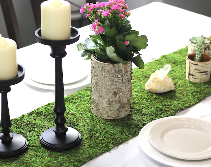 Moss Aisle Runner 2'X25' Fairy Garden Green Moss Preserved Moss Moss ...