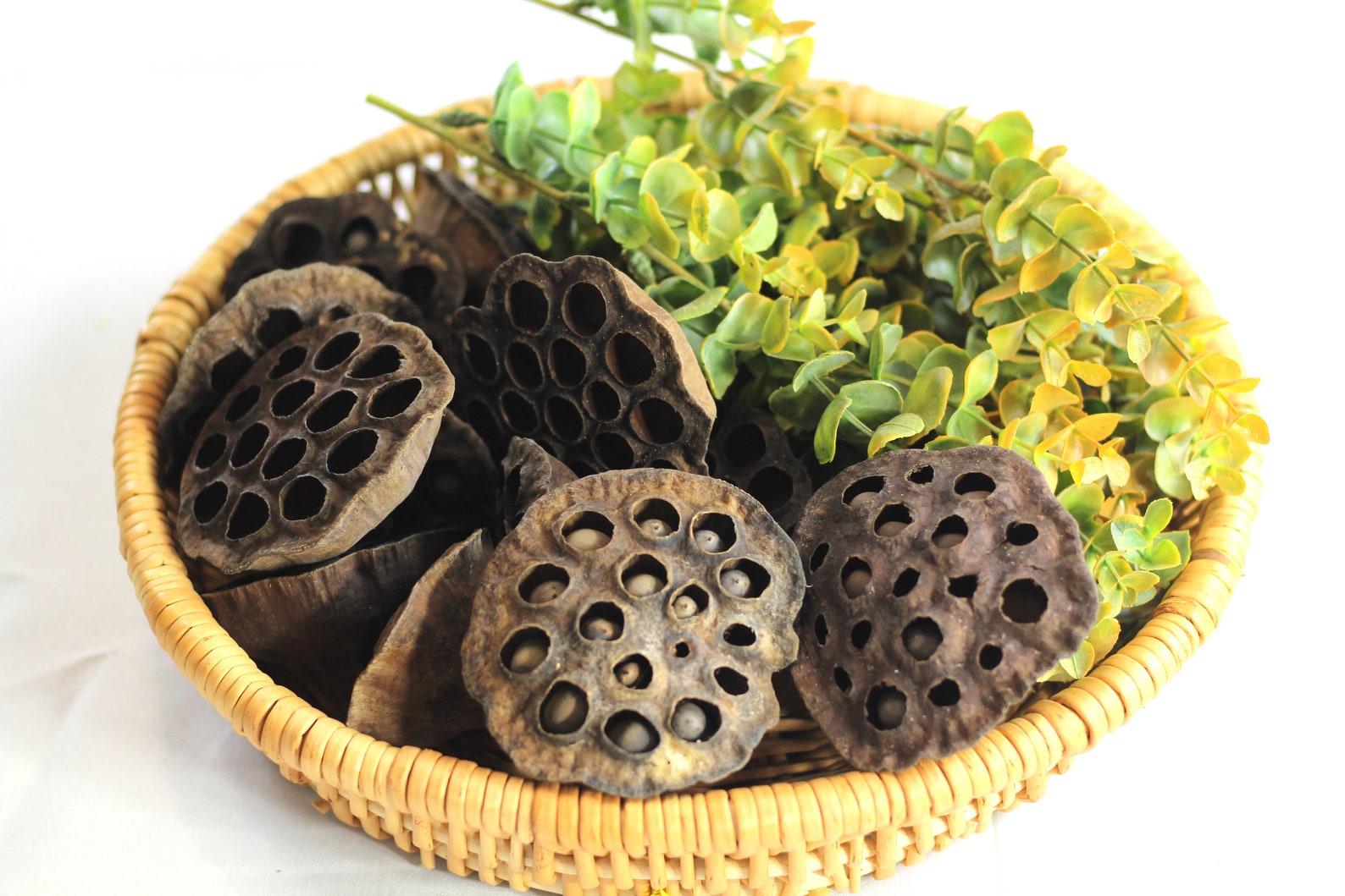 Lotus Pod Head Sets of 12 Head - Etsy