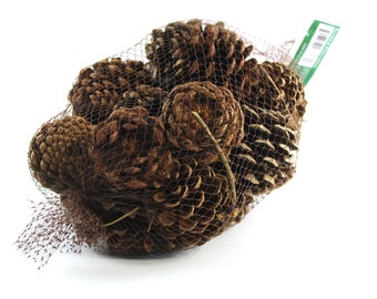 Cinnamon Scented Holiday Pinecones - Etsy