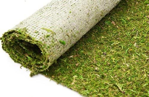 Moss Mat Size 18'' Wide X 48'' Long | Etsy