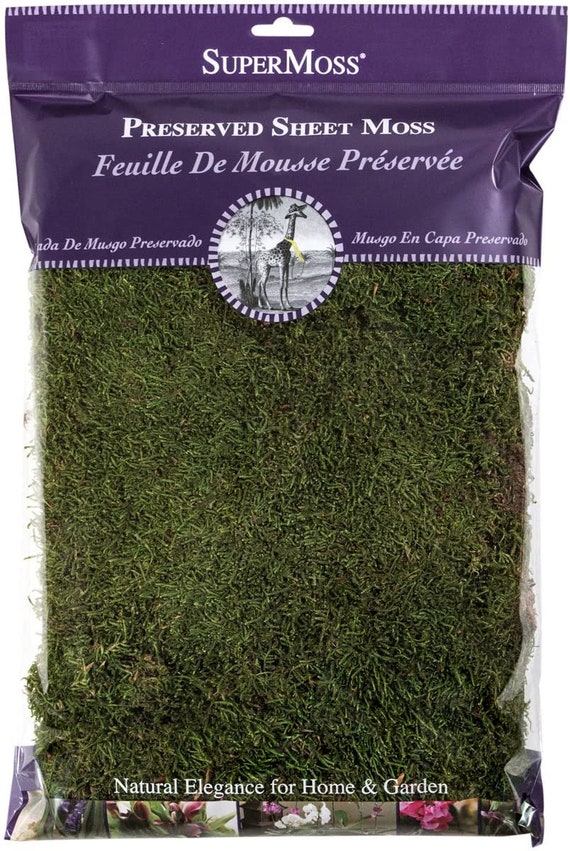 Preserved Green Sheet Moss 8oz Bag | Etsy