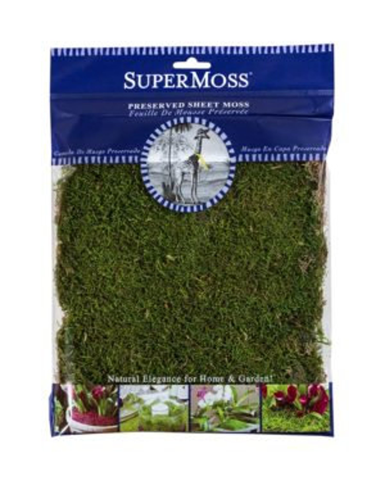 Super Moss Brand 8oz Bag Preserved Moss - Etsy