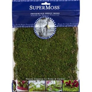Super Moss Brand 8oz Bag Preserved Moss - Etsy