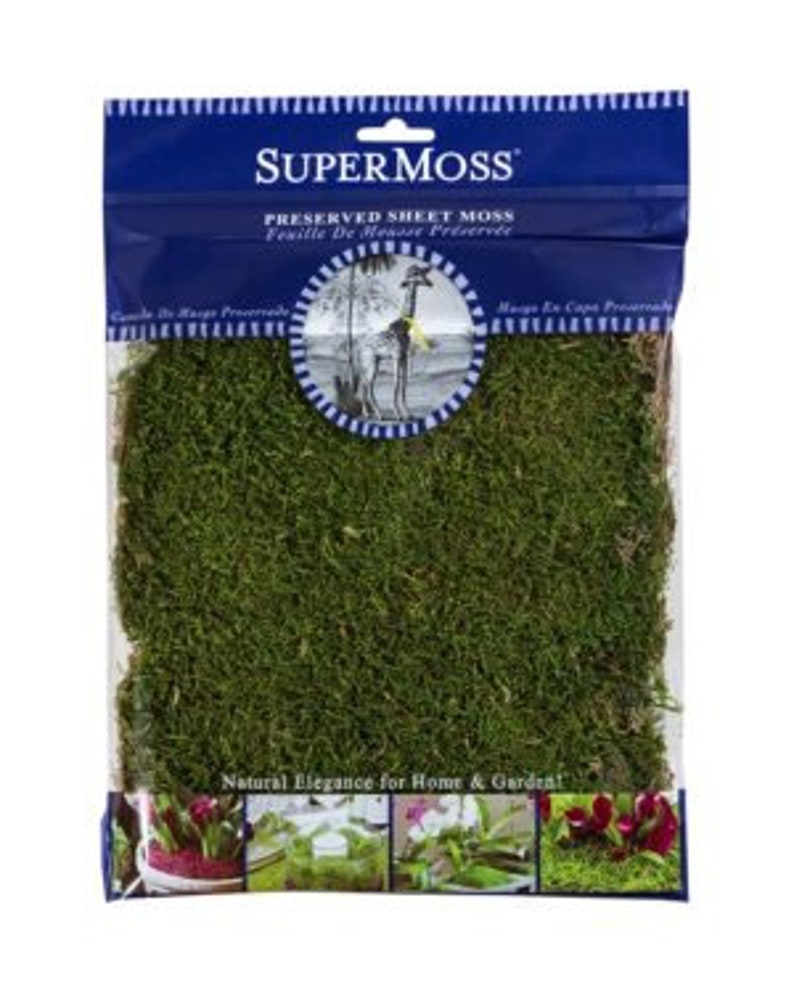 Super Moss Brand 8oz Bag Preserved Moss - Etsy