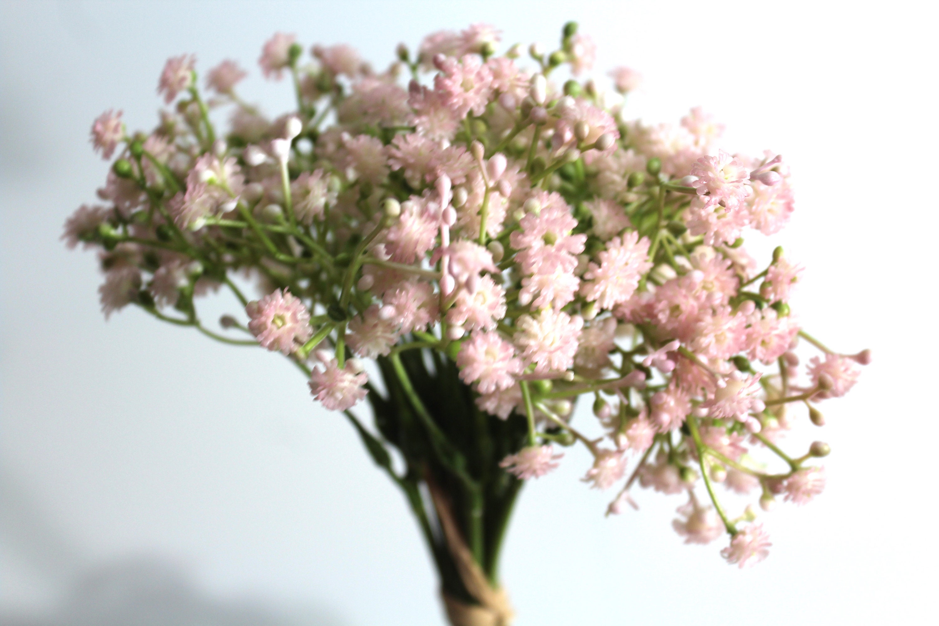 12'' BABY'S BREATH BUNDLE - Etsy