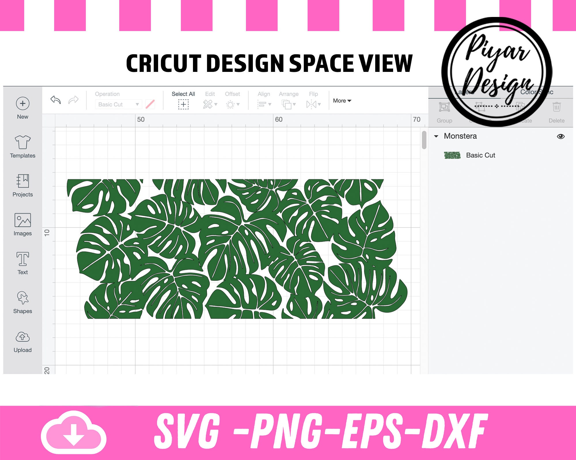 Monstera Can Glass Svg Monstera Leaf Full Wrap Tropical - Etsy