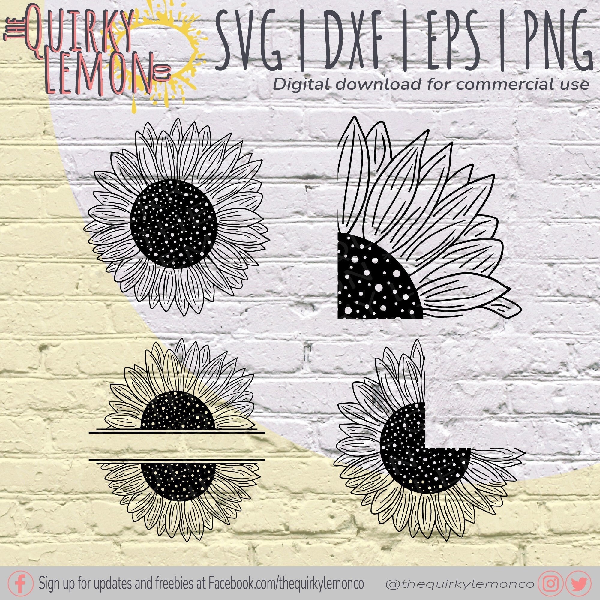 Sunflower SVG 4 Variations, Whole Sunflower, Segmented Sunflower and ...