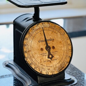Vintage Metal Black Columbia Family Scale 24 Lb Landers, Frary & Clark ...
