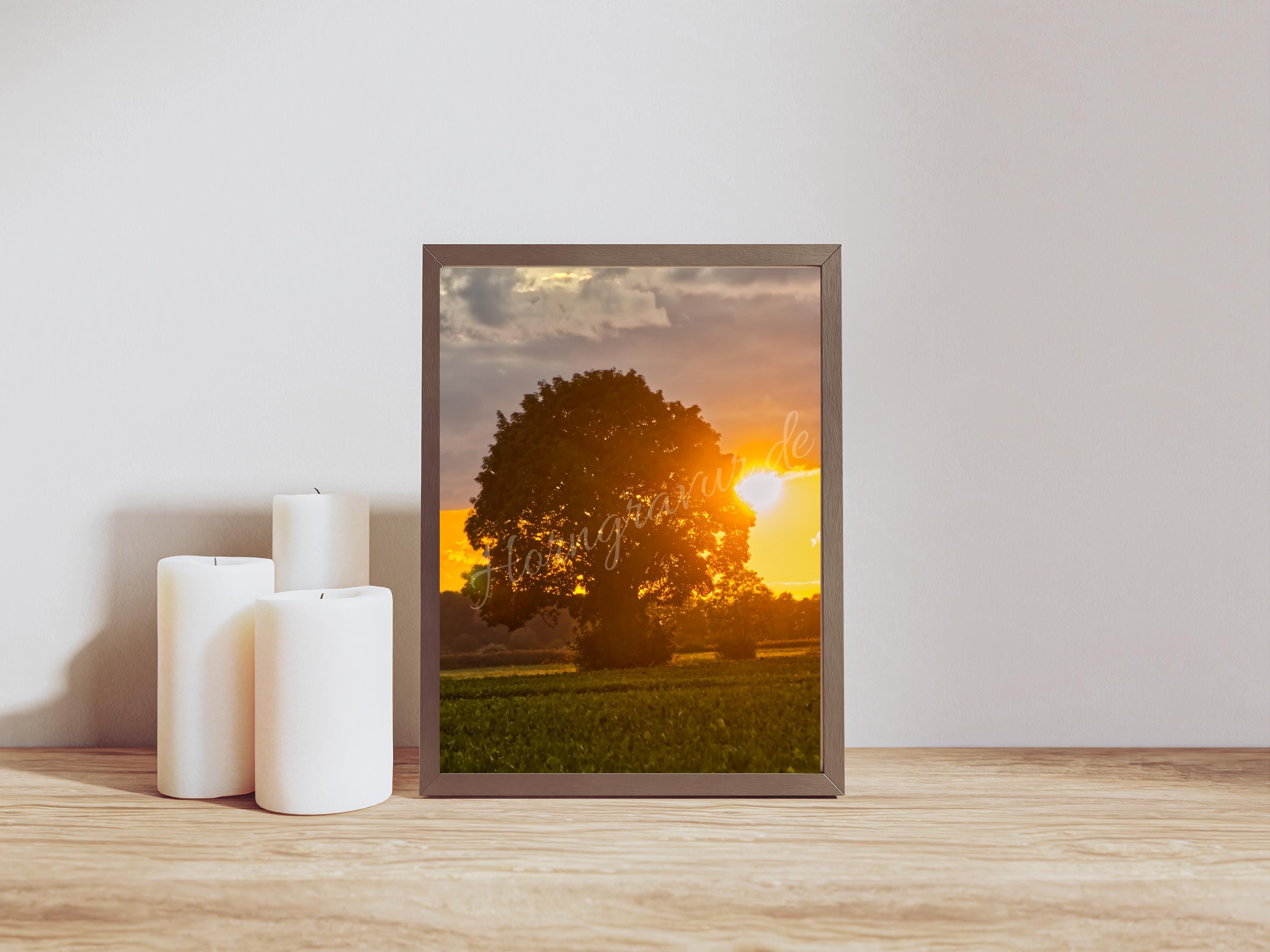 Digital Download, Picture, Poster, Landscape, Nature, Sunset, Tree - Etsy