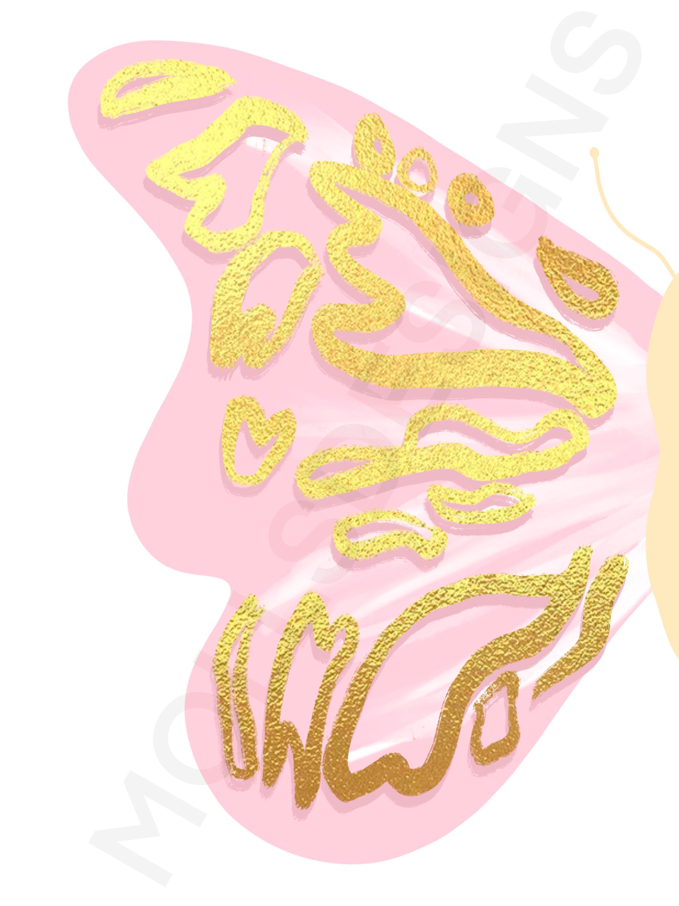 Preppy Split Butterfly Wall Art digital Download Preppy - Etsy