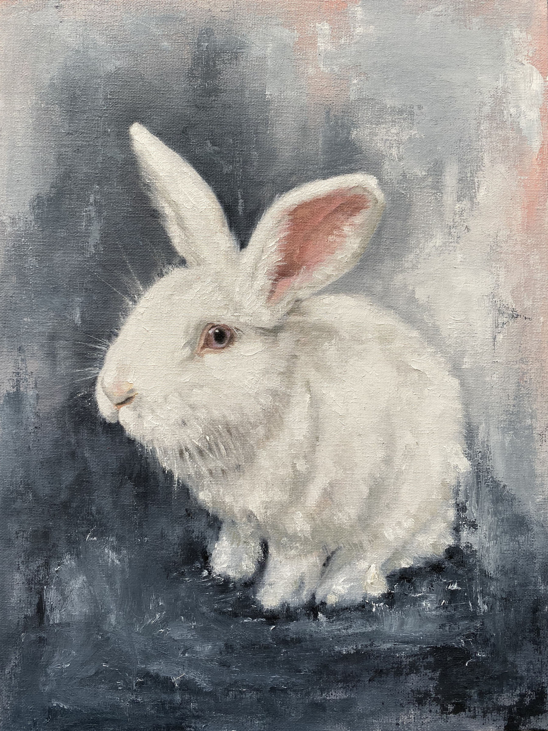 Original Oil Painting Rabbit Portrait Example Commissions | Etsy