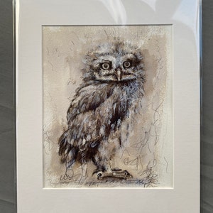 Original Owl Ink Drawing - Etsy