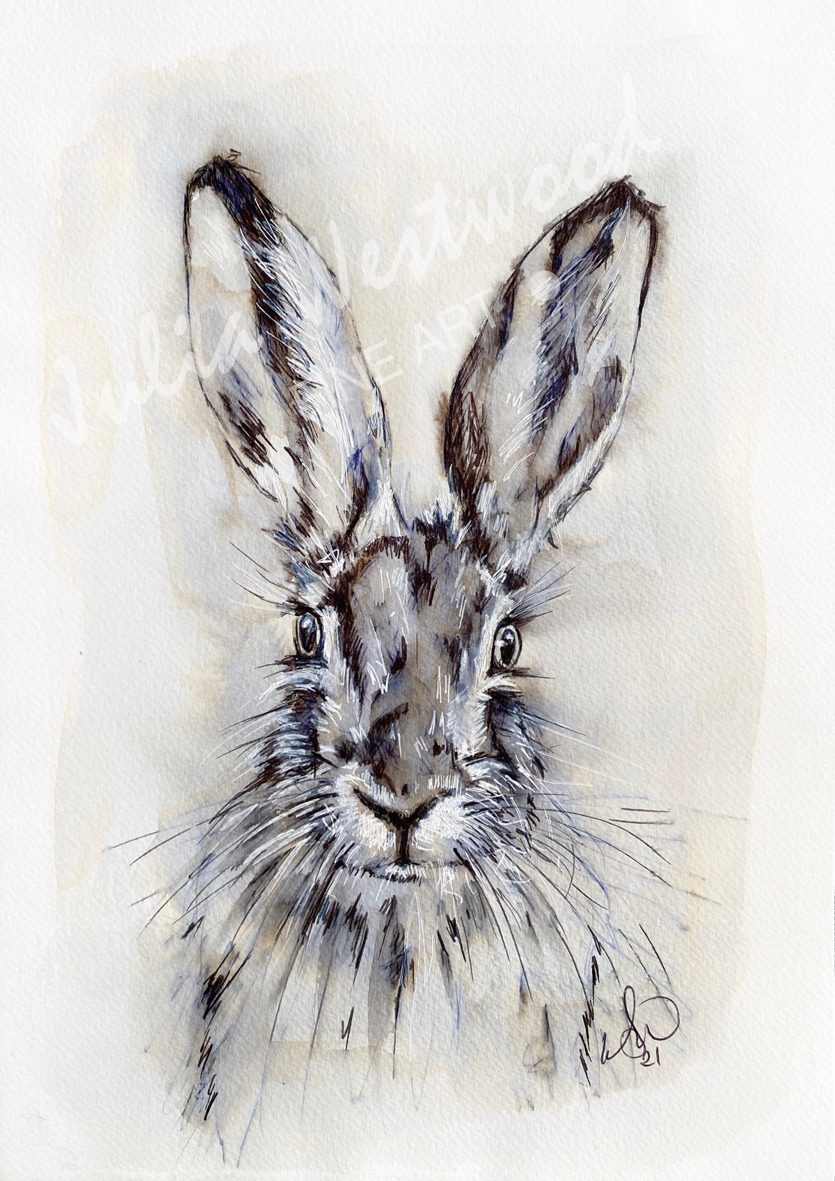 Giclee Print of My Original Ink Hare Drawing - Etsy UK