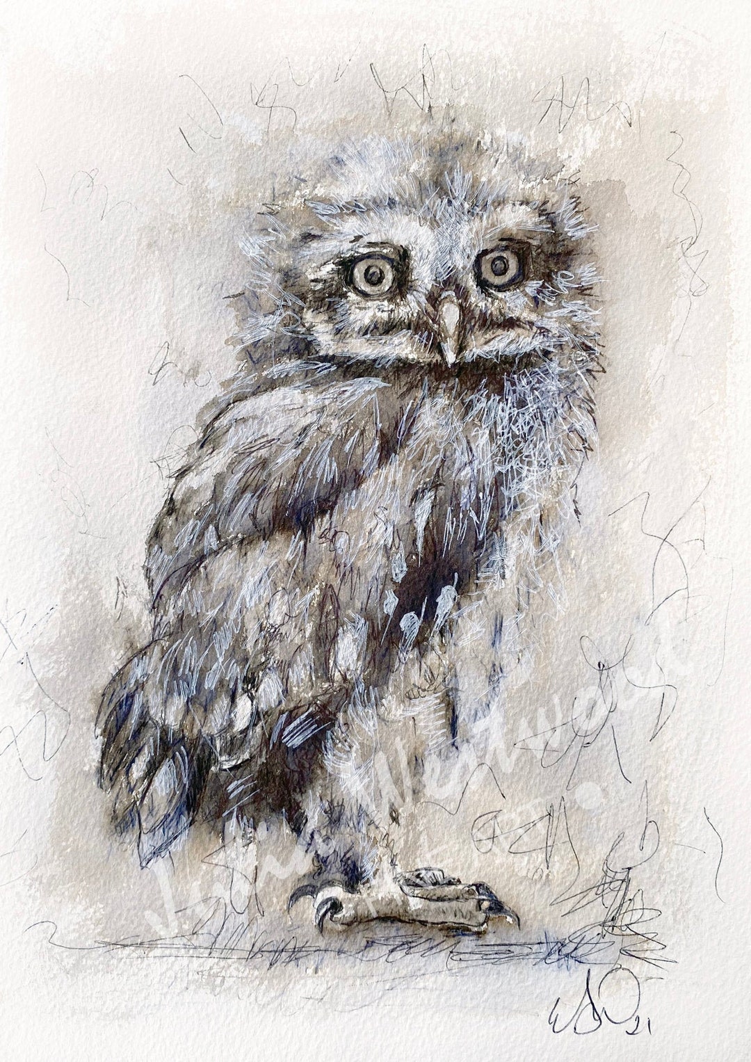 Original Owl Ink Drawing - Etsy