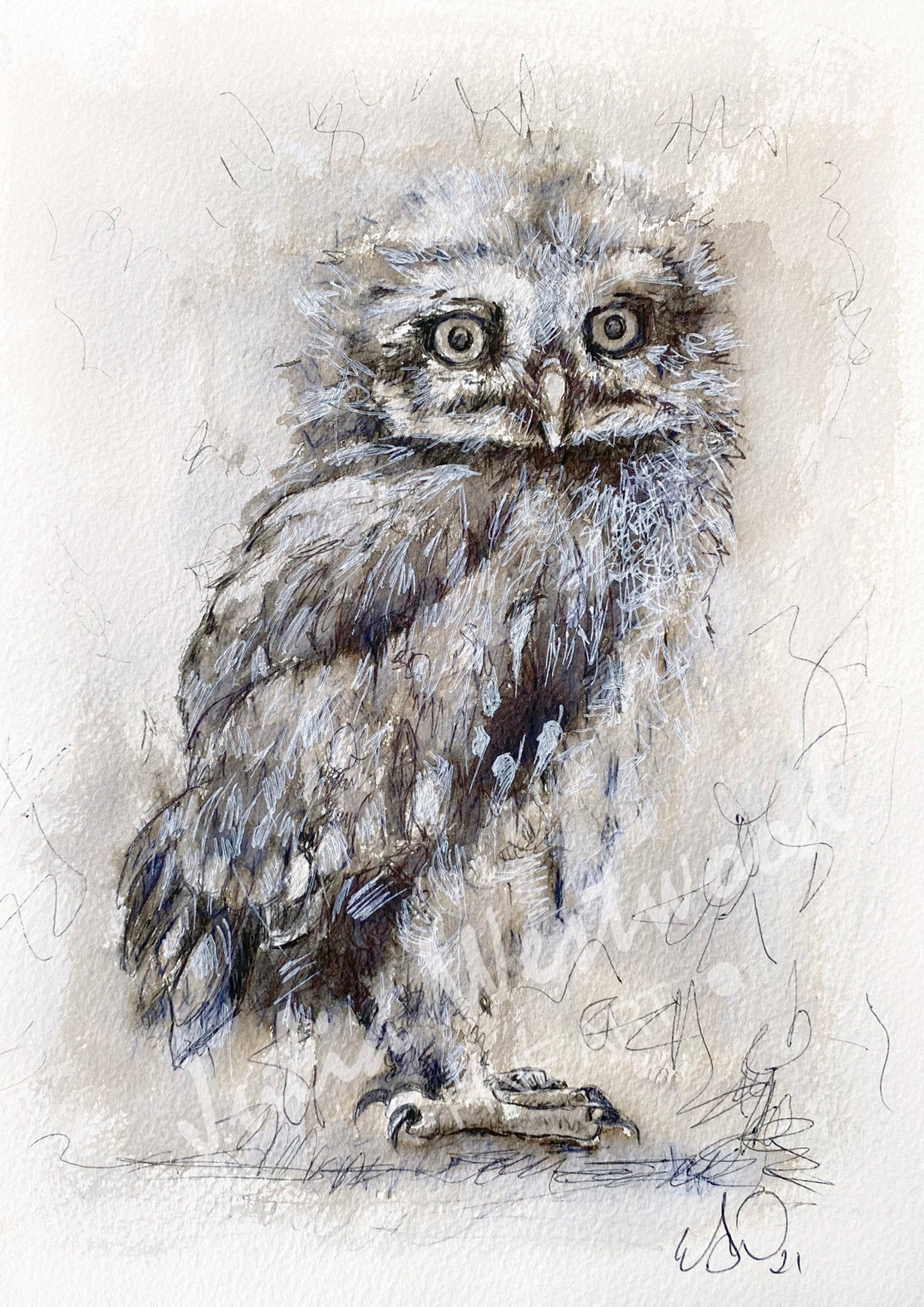 Original Owl Ink Drawing - Etsy
