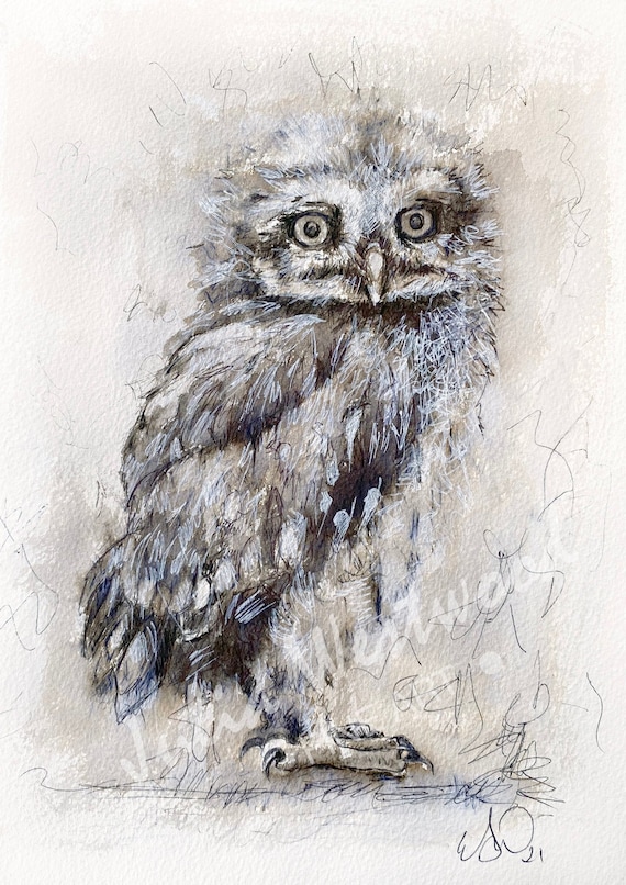 Original Owl Ink Drawing - Etsy