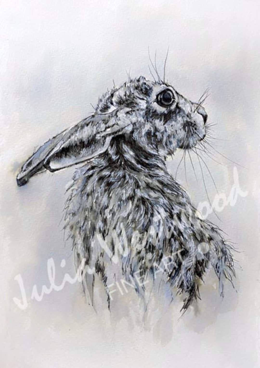 Original Hare Ink Drawing - Etsy