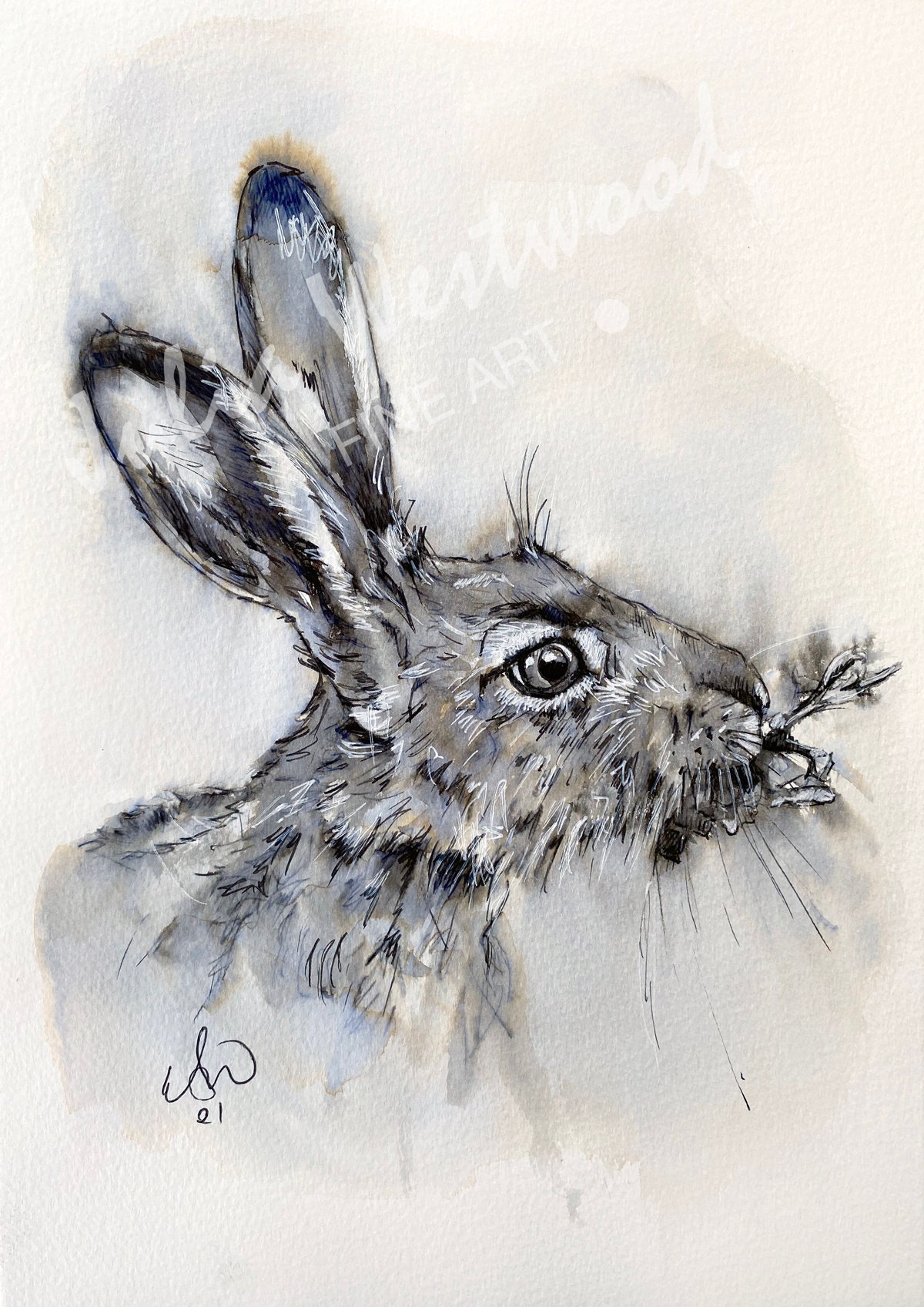 Original Hare Ink Drawing - Etsy