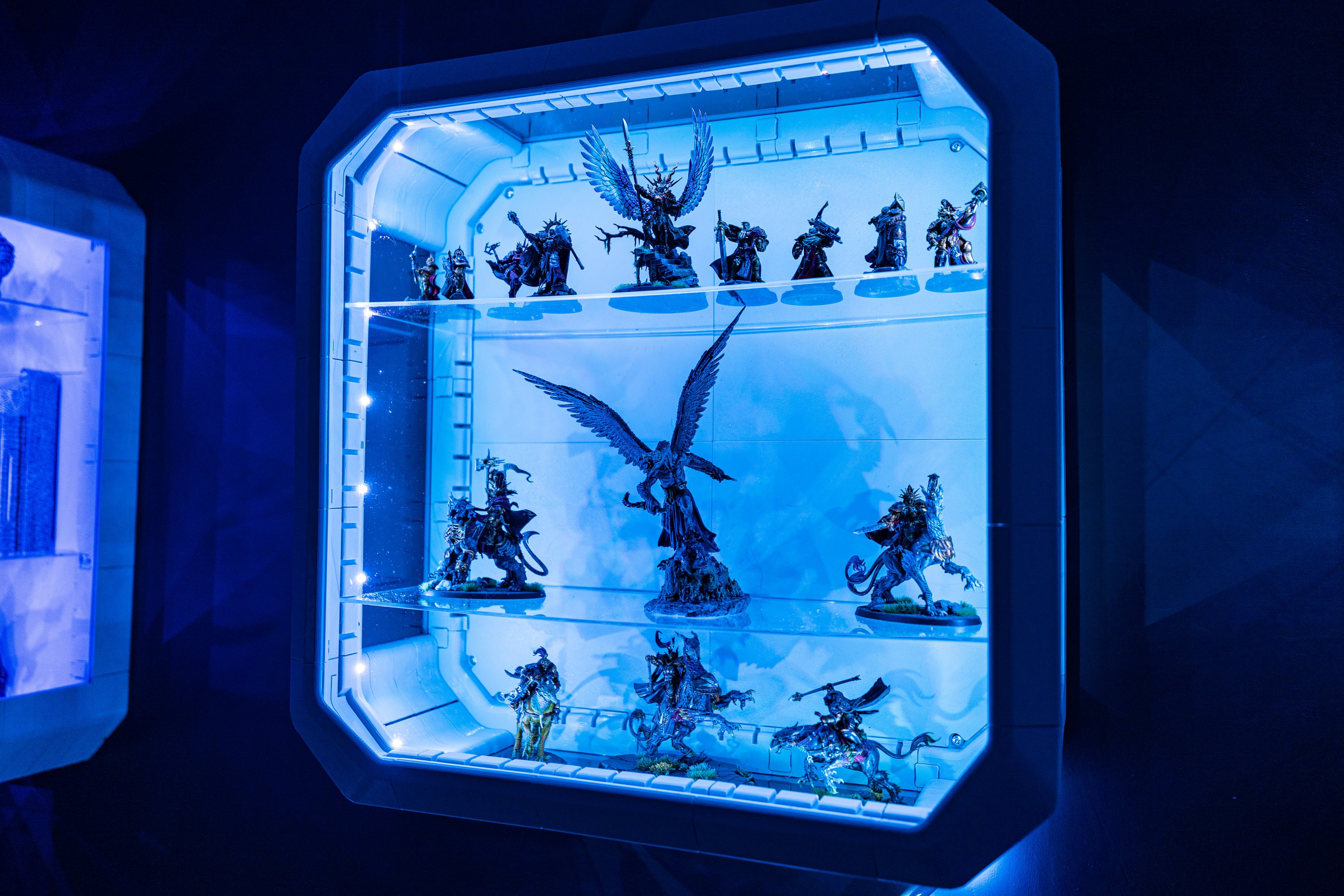 Omni Modular Display Case - Etsy