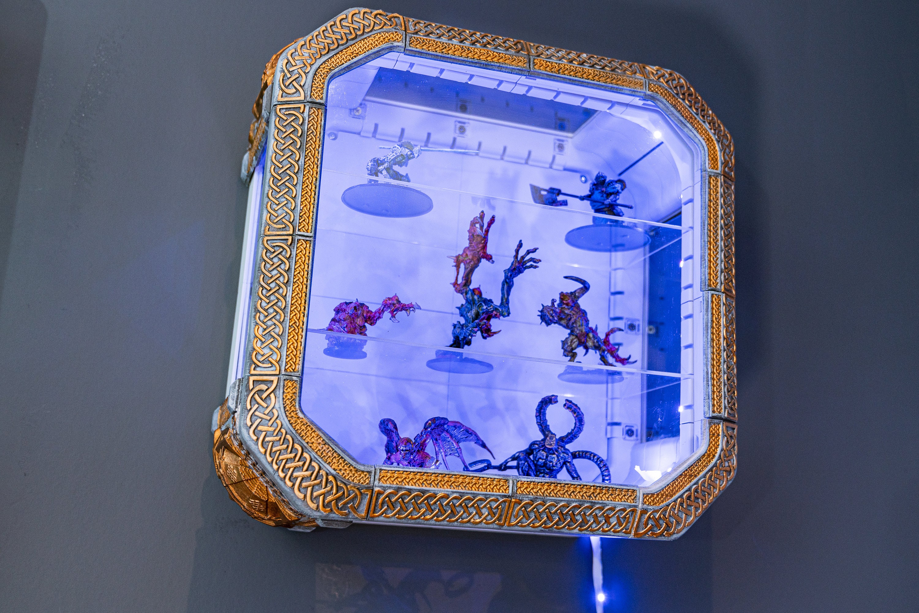 Omni Modular Display Case - Etsy