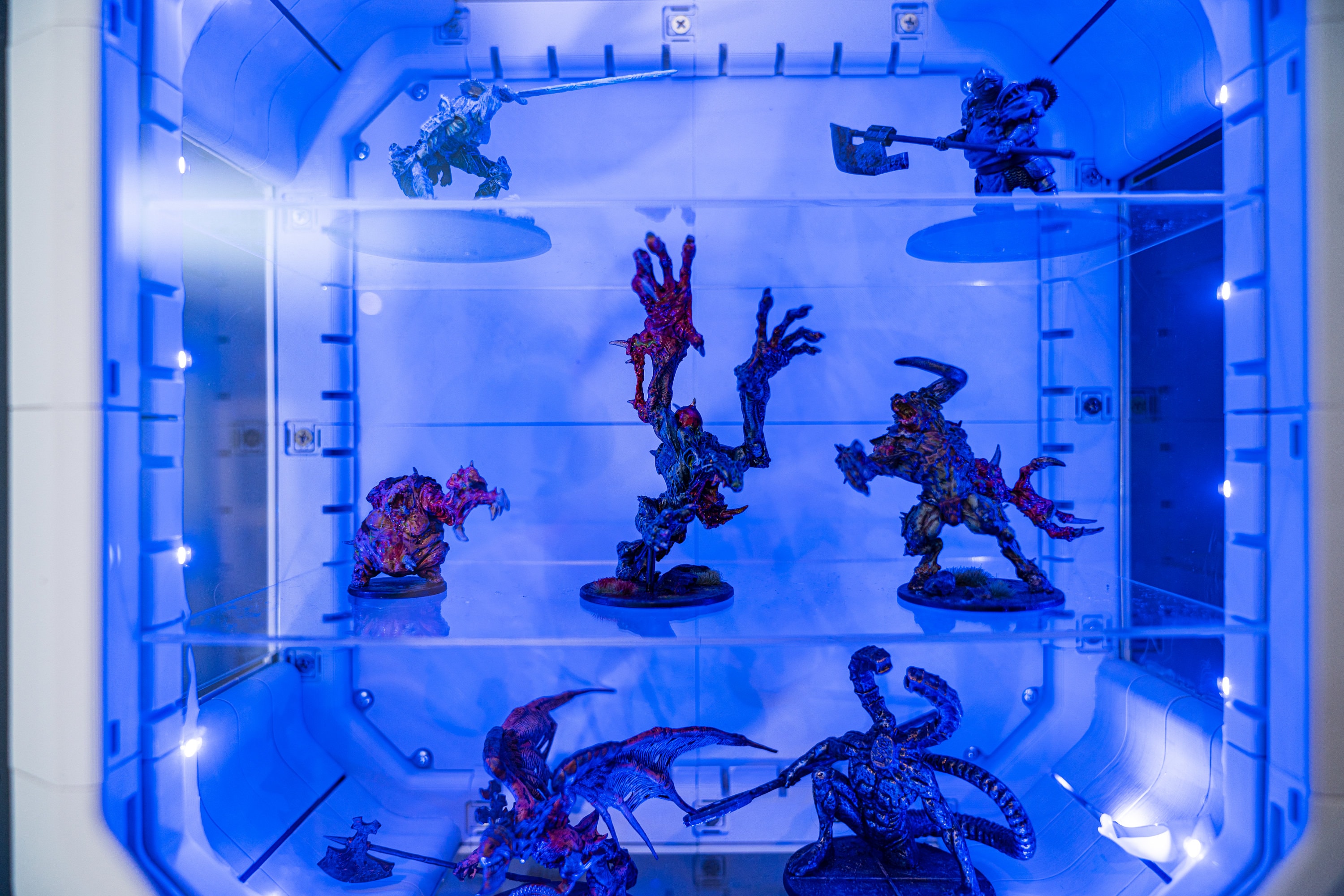 Omni Modular Display Case Acrylic Panels - Etsy