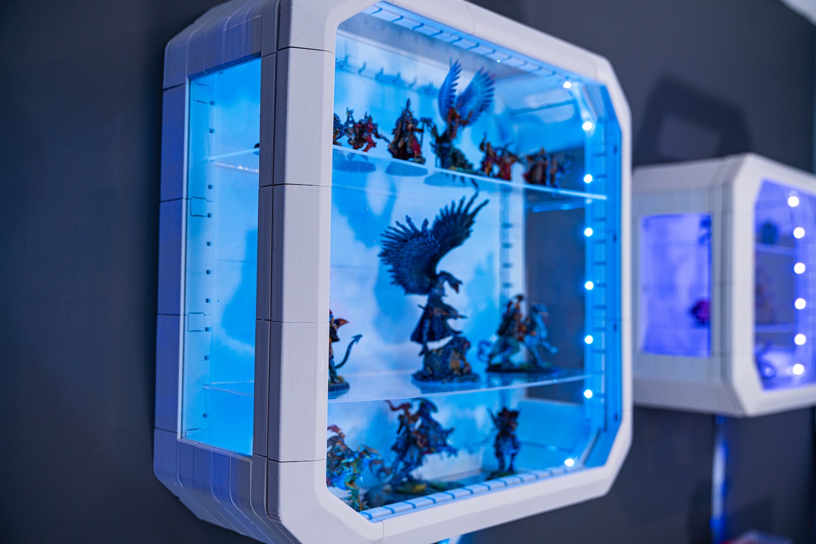 Omni Modular Display Case Acrylic Panels - Etsy