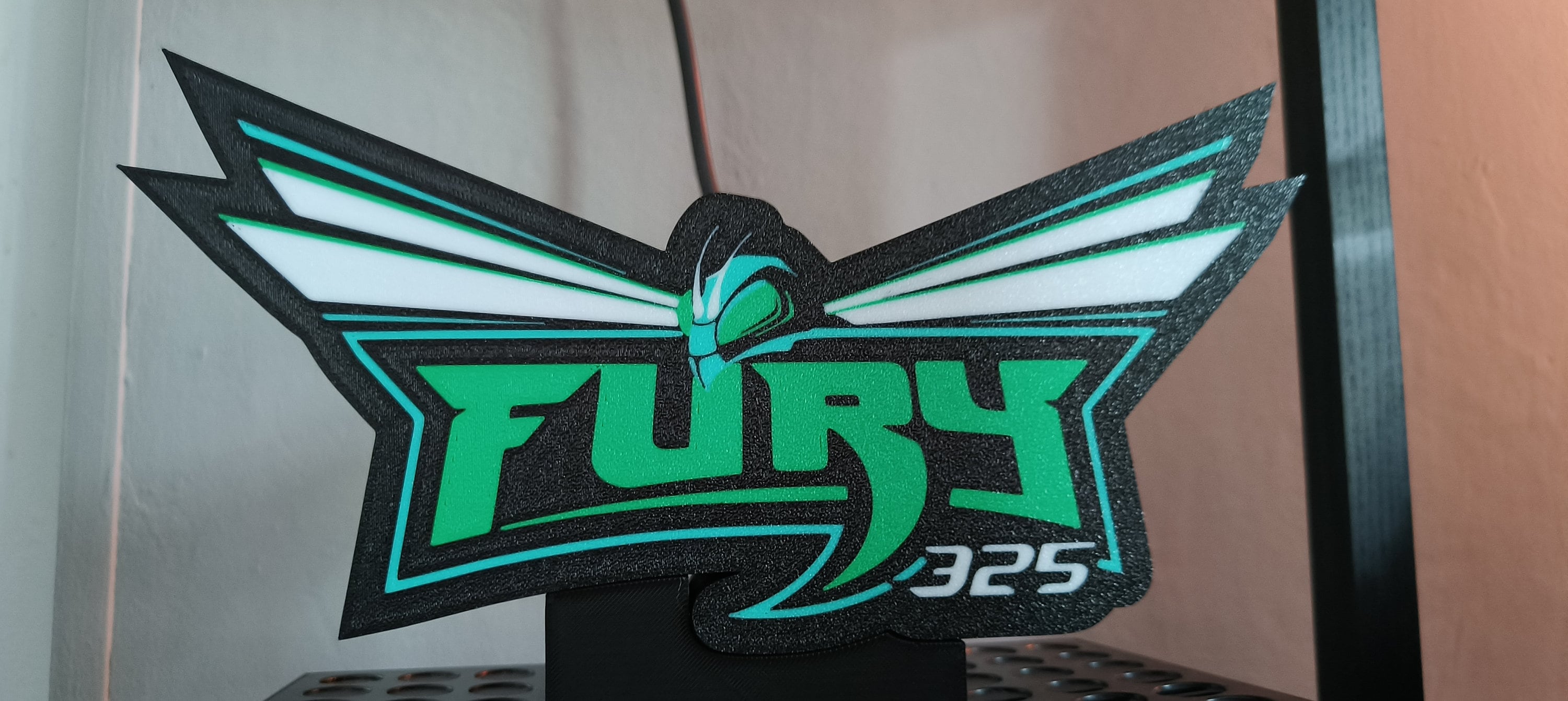 Fury 325 Rollercoaster Entrance Logo Inspired Desk Lamp Wall Light - Etsy