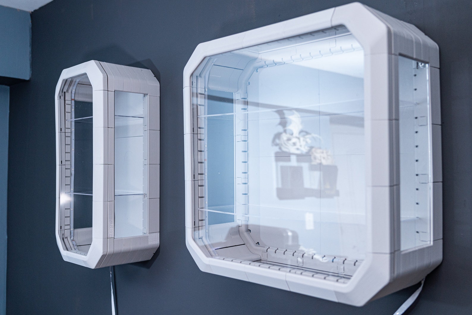 Omni Modular Display Case Acrylic Panels - Etsy