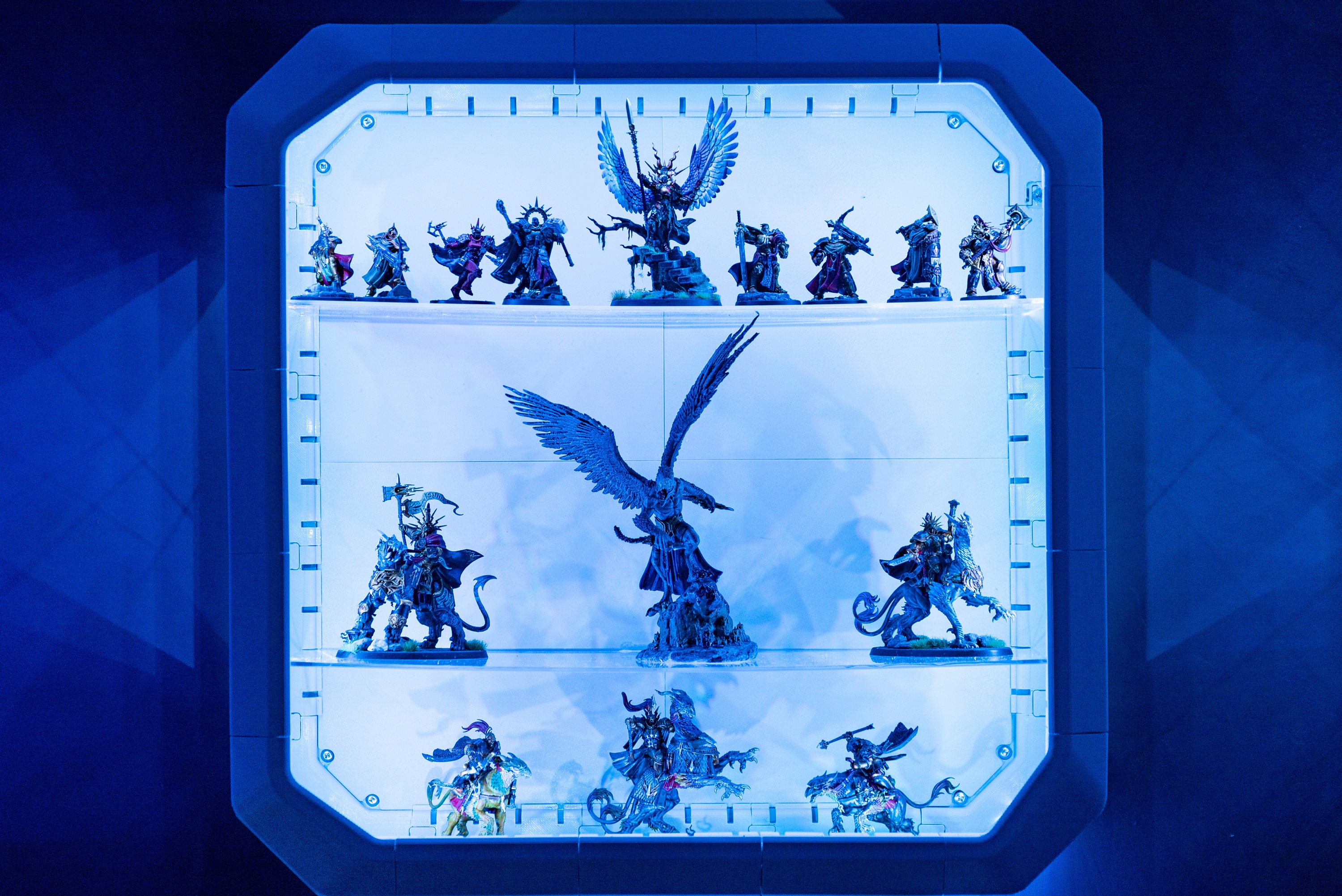 Omni Modular Display Case Acrylic Panels - Etsy Australia