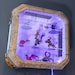 Omni Modular Display Case - Etsy