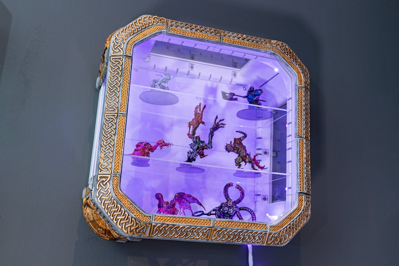 Omni Modular Display Case Etsy