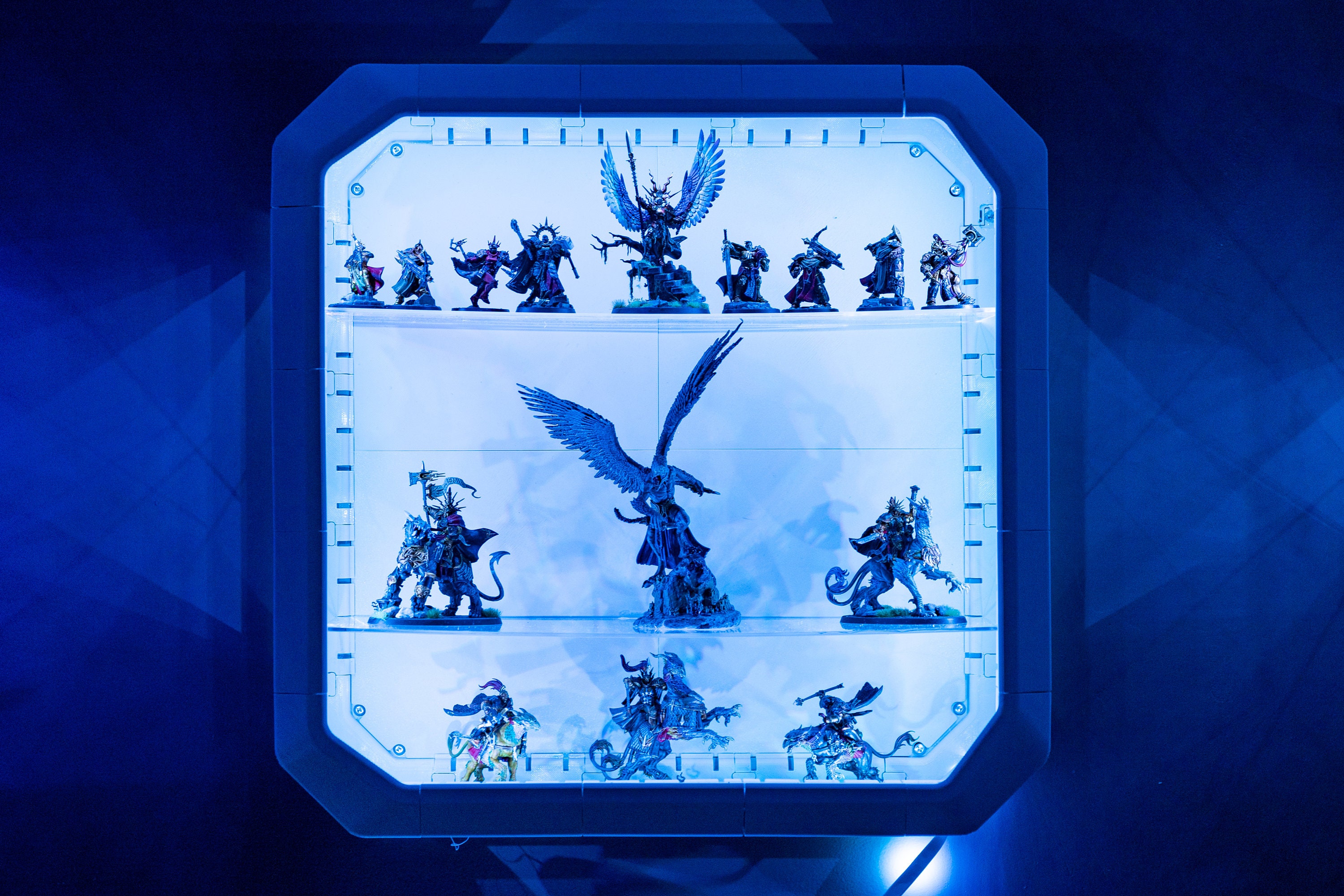 Omni Modular Display Case - Etsy