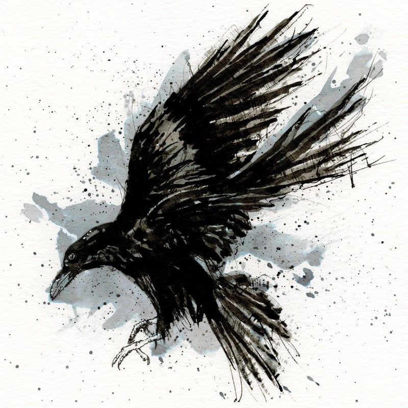 Ink Drawing Raven - Etsy UK