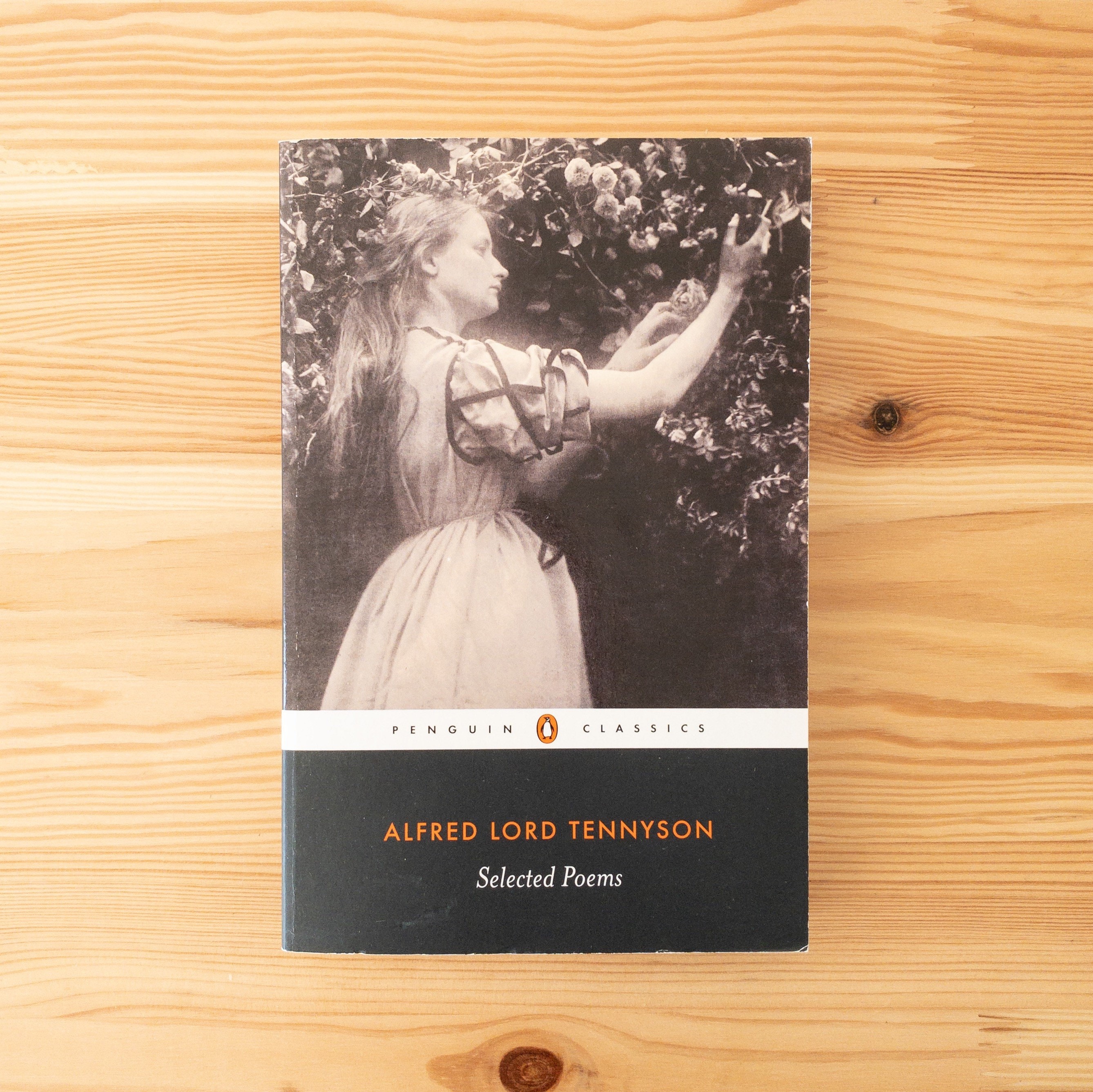 Tennyson Selected Poems