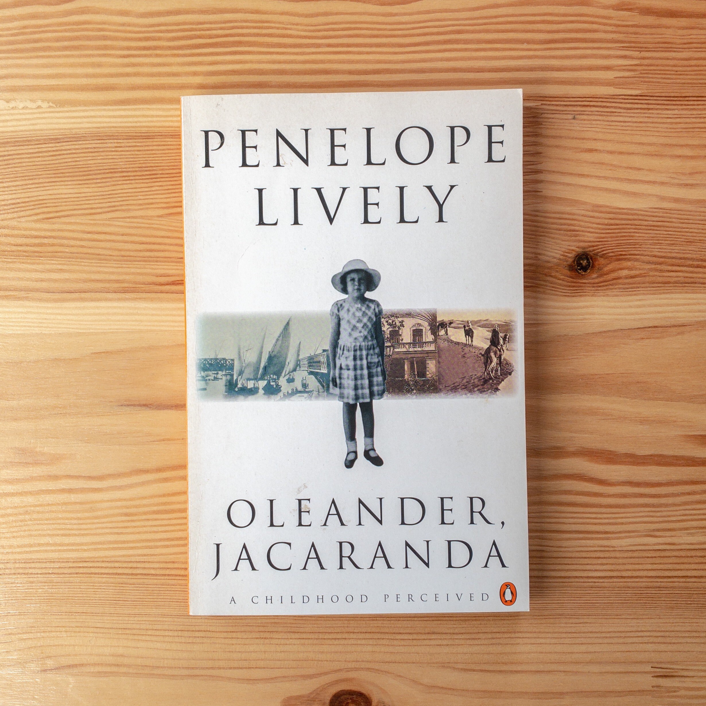 Oleander, Jacaranda Penelope Lively Penguin Books Paperback - Etsy