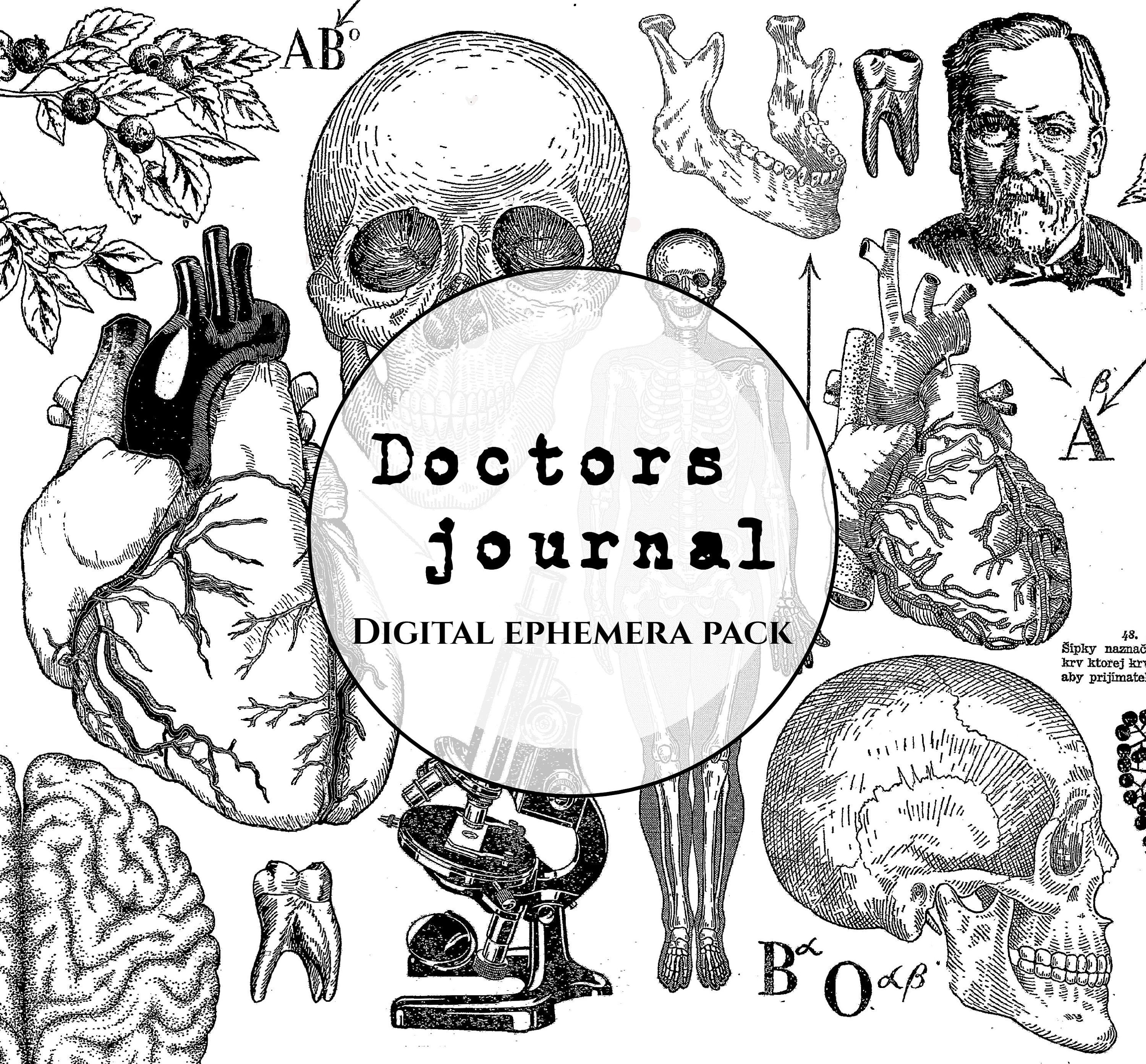 Doctors Journal Anatomy Cards, Digital Images, Skull, Digital Ephemera ...
