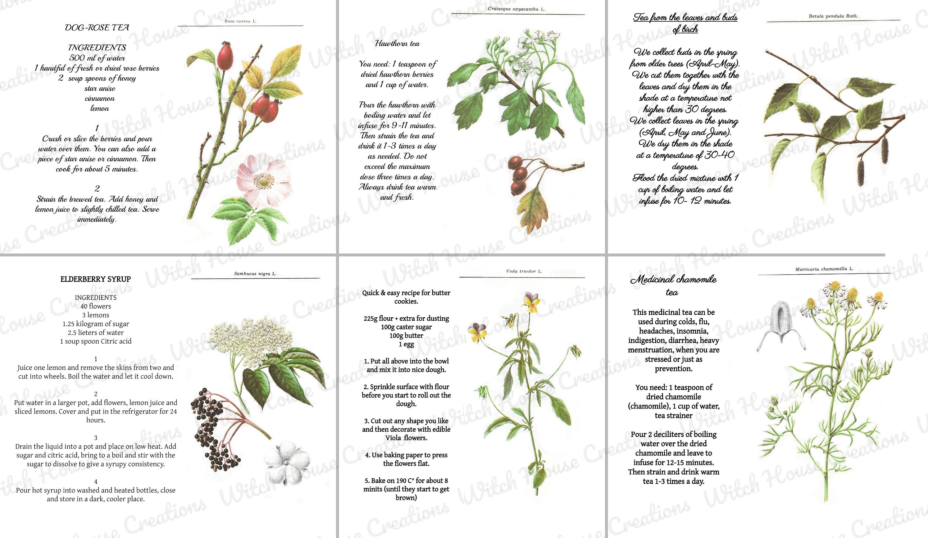 Green Witch Useful Plants Digital Download Ephemera Pack Botanical Kit ...