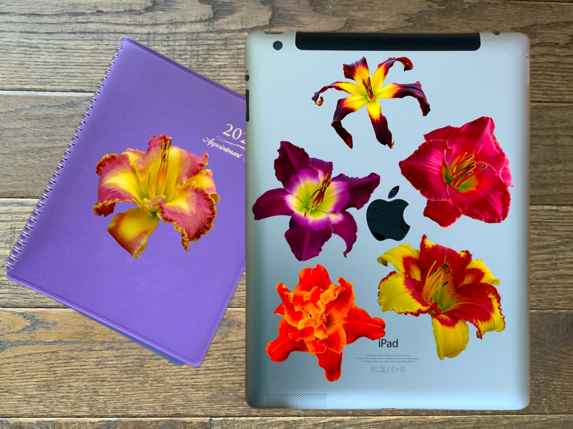 Striking Daylily Image Sticker, Daylily Cultivar Named Gavin Petit ...