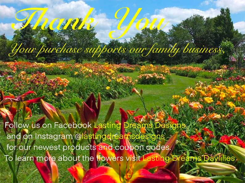 Striking Daylily Image Sticker, Daylily Cultivar Named Gavin Petit ...