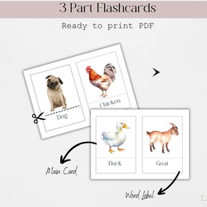 Printable Farm Animal Cards Set - Educational Flashcards for Kids ...