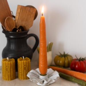 Carrot Candles, Food Candles, Real Fruit Vegetables Candles, Garden ...