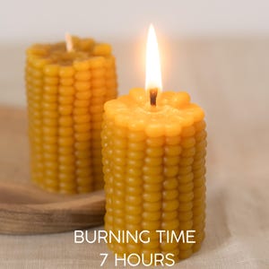 Realistic Corn Cob Beeswax Candle, Handcrafted Vegetable Shaped Harvest ...