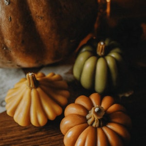 Beeswax Pumpkin Candles - Etsy